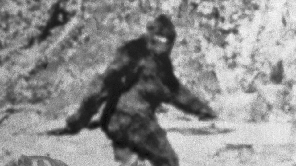 Oklahoma lawmaker files bill to establish Bigfoot hunting season – WPXI