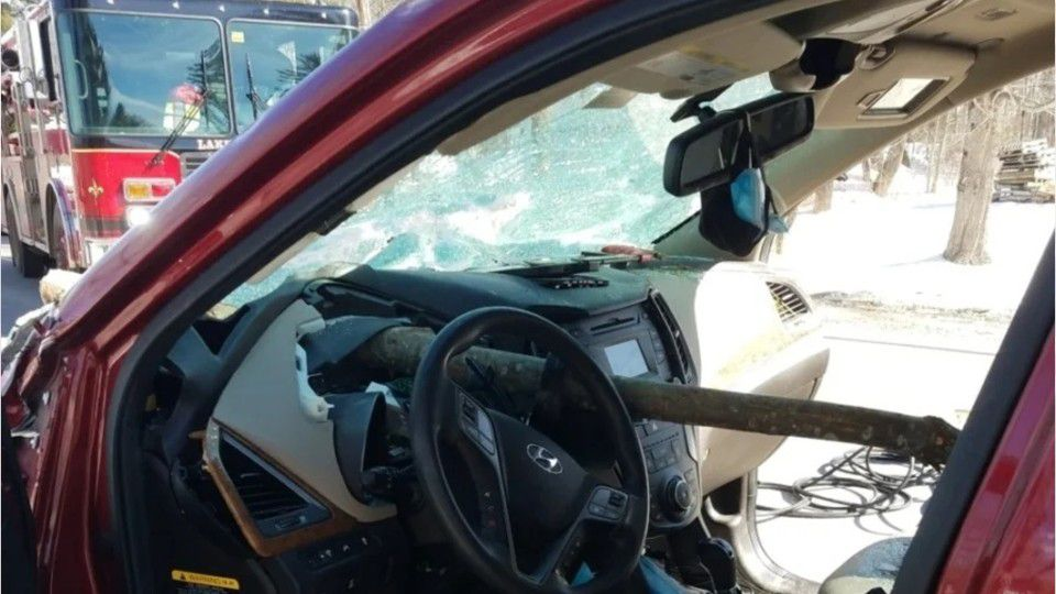 Maine woman impaled by branch when tree falls onto car – WSOC TV