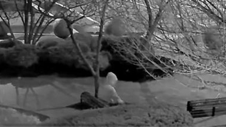 FBI releases new video footage of RNC, DNC pipe-bomb suspect – WPXI