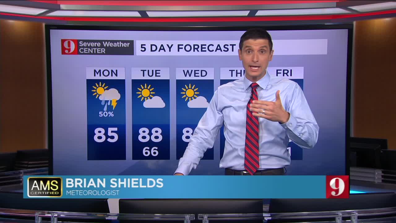 Orlando News Videos | WFTV