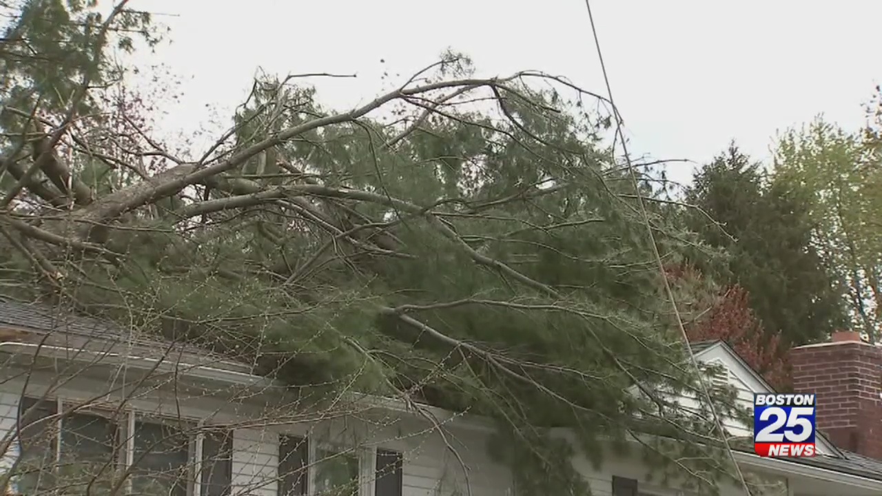 Strong winds tear down trees, damaging home in North Andover – Boston ...