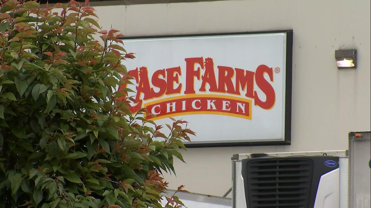 Outbreak reported at farm that helped feed hundreds of families last ...