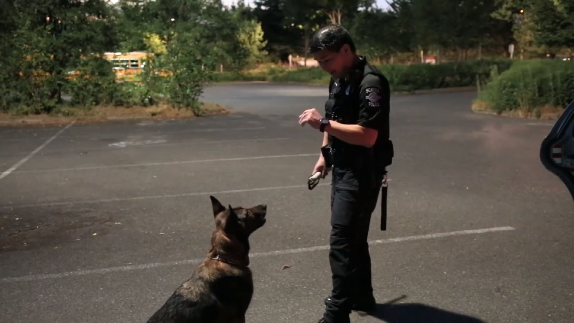 Seattle Police Foundation raising money to buy drug detection dogs for ...