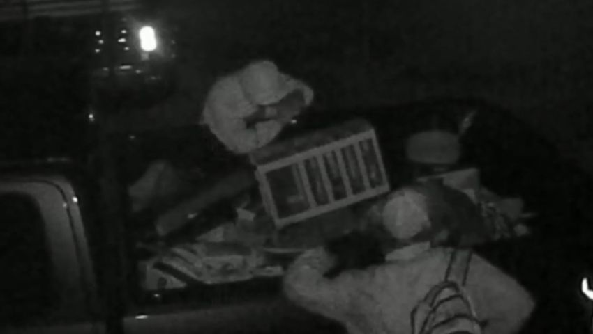 Face masks are making the ‘perfect cover’ for crime – KIRO 7 News Seattle