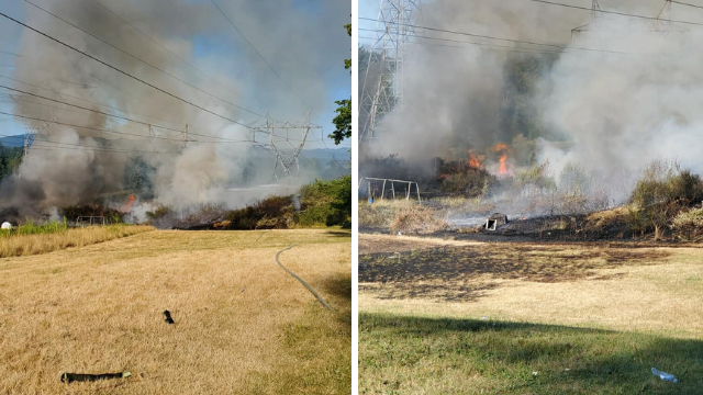 3-alarm brush fire forced evacuations at Renton apartment complex ...