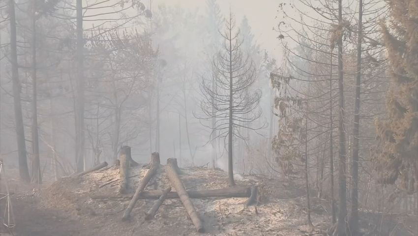 VIDEO: Crews make progress on Sumner Grade Fire – KIRO 7 News Seattle