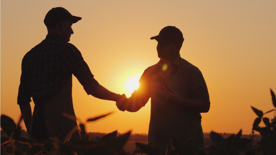 Farmers band together, help neighbor with harvest after he suffers ...