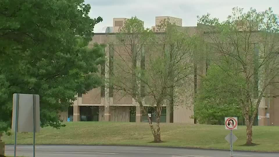 North Allegheny alumni, students working with administration to make ...