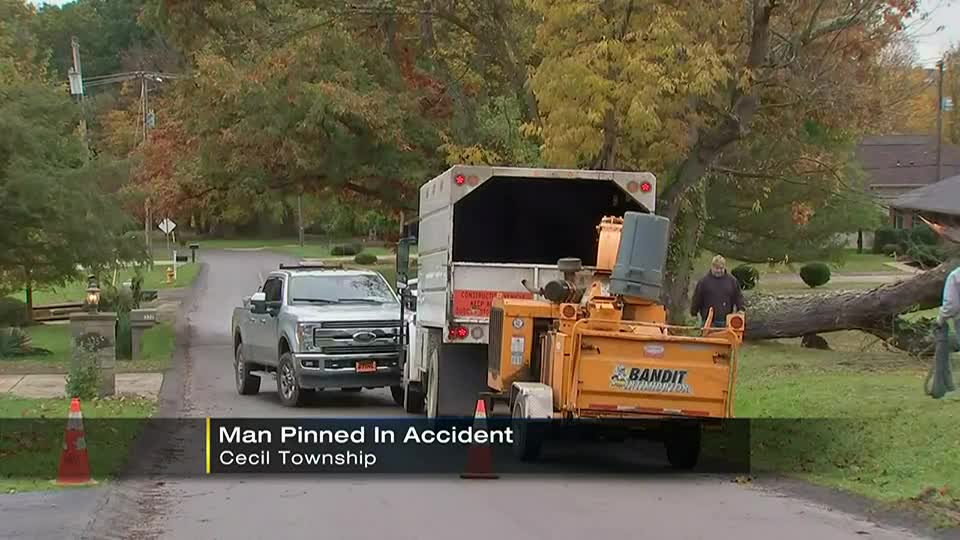 Wood Chipper Accident Video