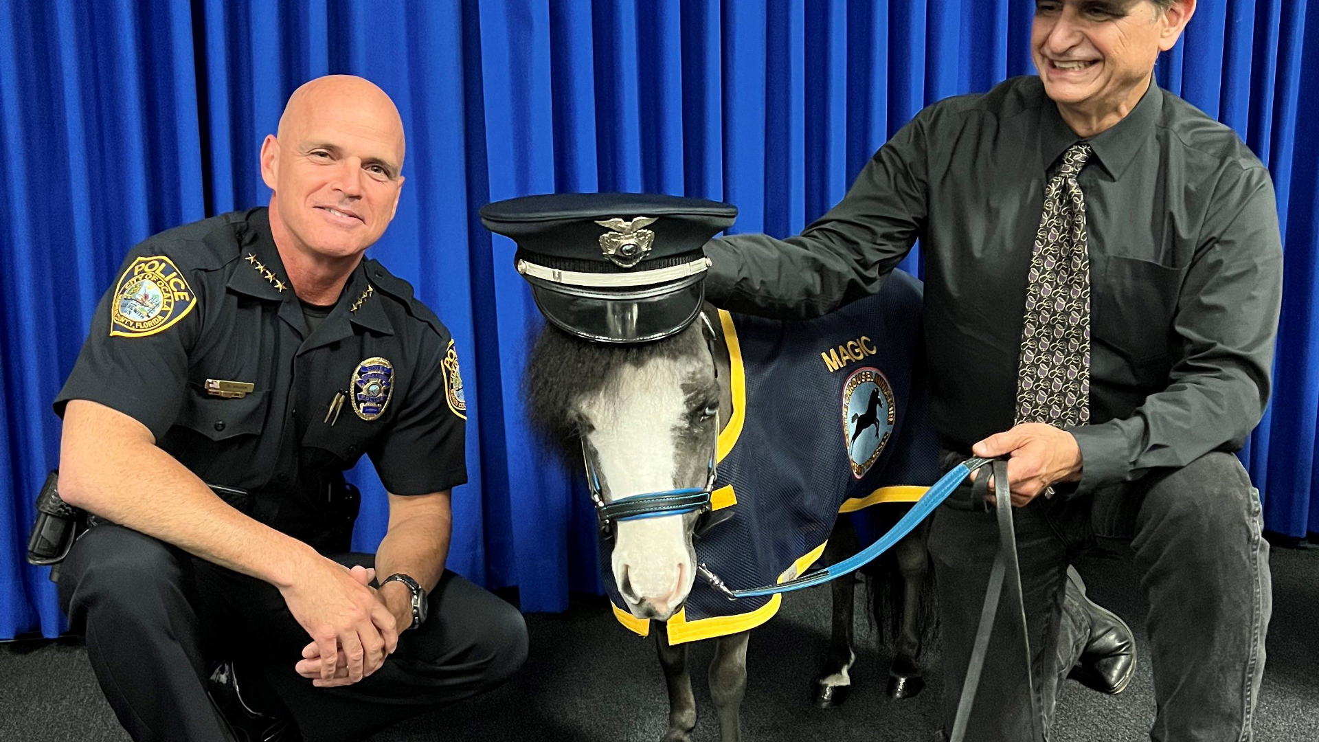 Police Pony