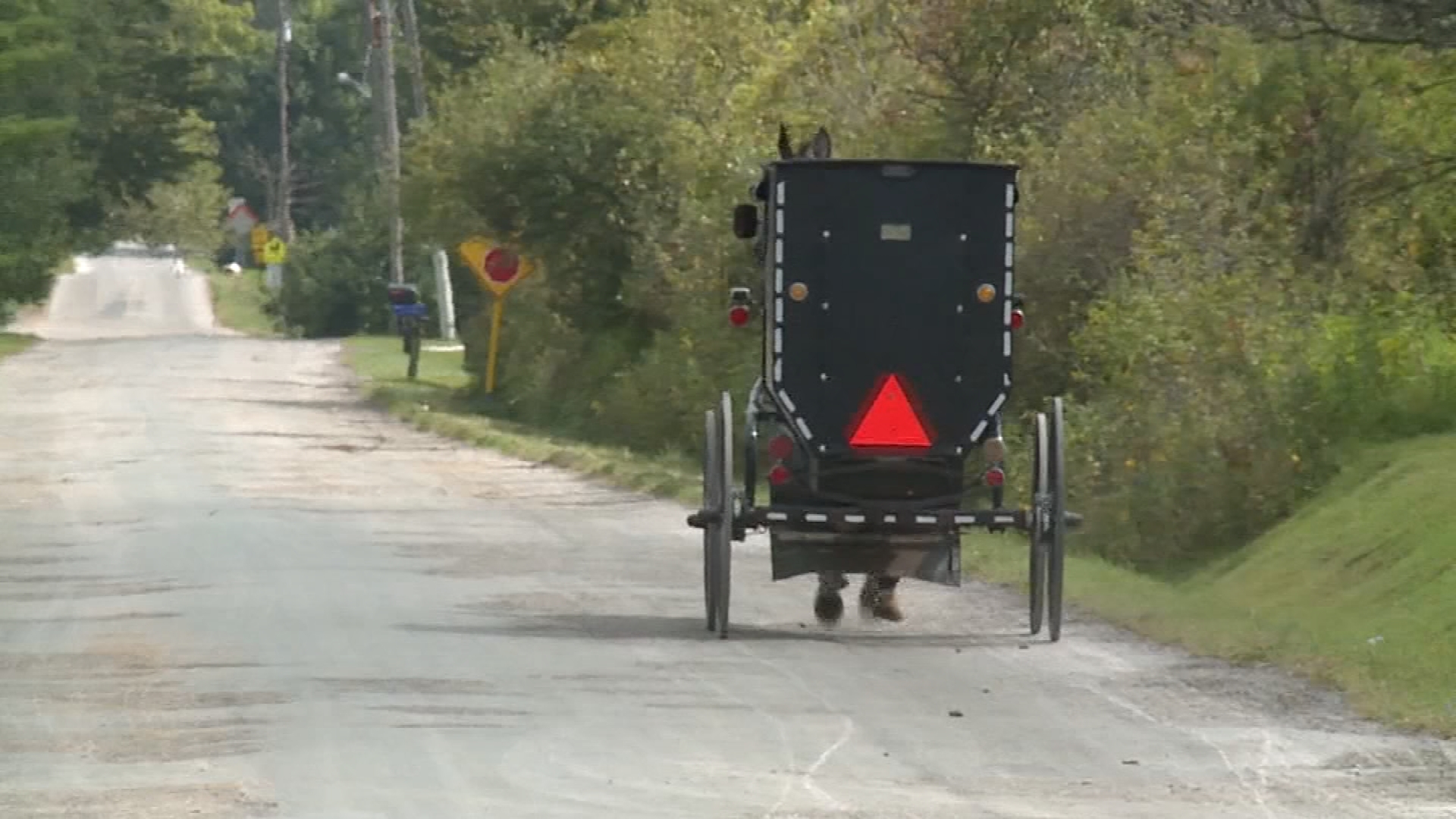 Ohio deputies pull over Amish buggy stocked with beer, sporting radio ...