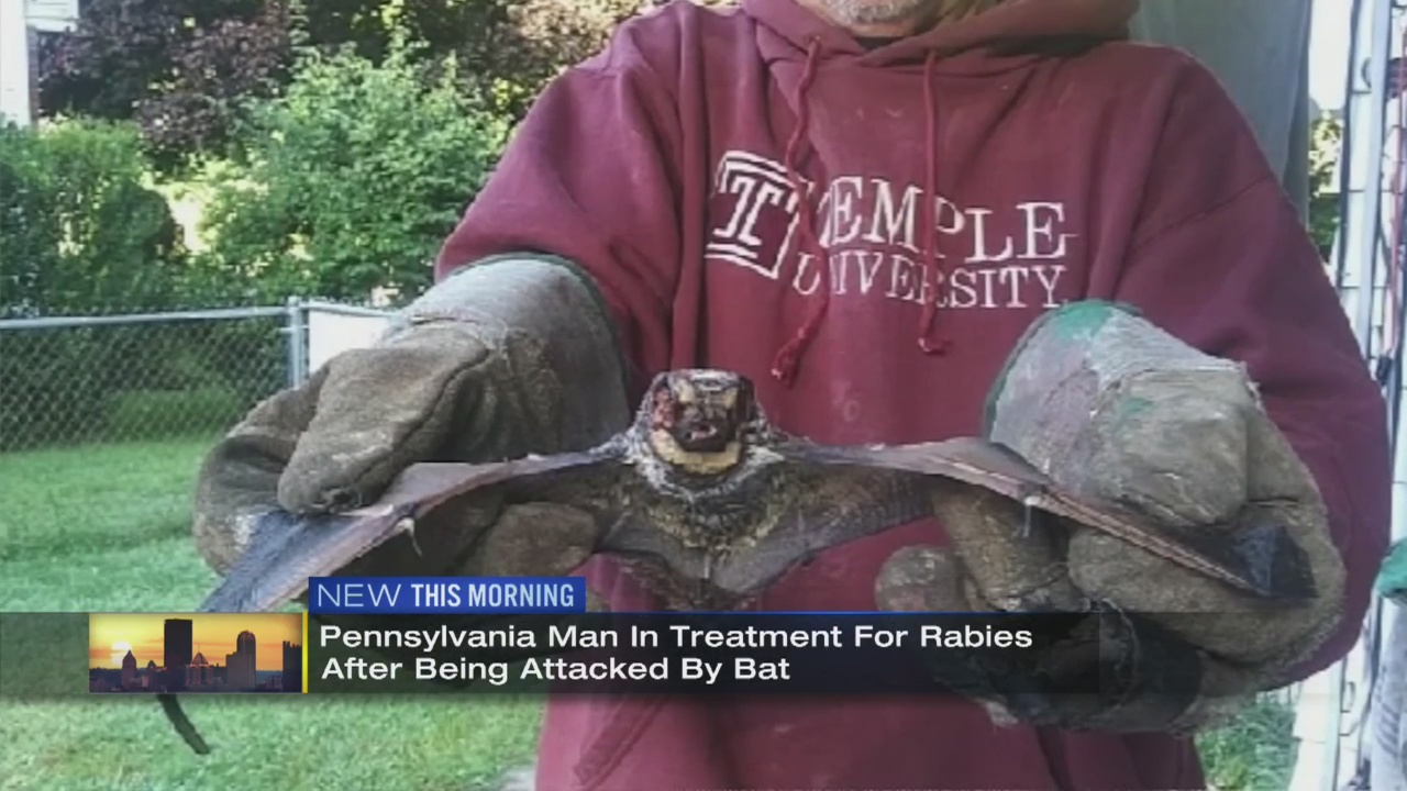 Pa. man in treatment for rabies after bat attack – WPXI