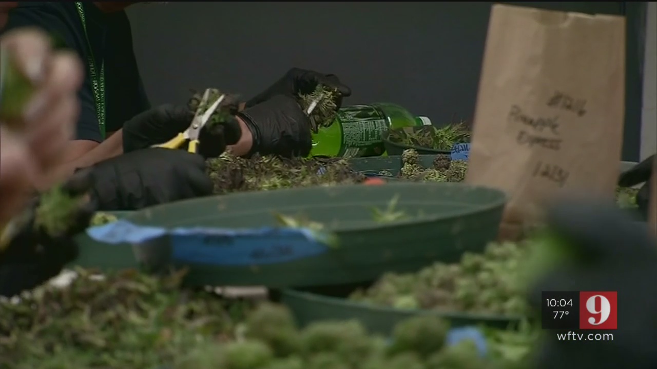 #PotDaddy: John Morgan says it's time to legalize recreational marijuana