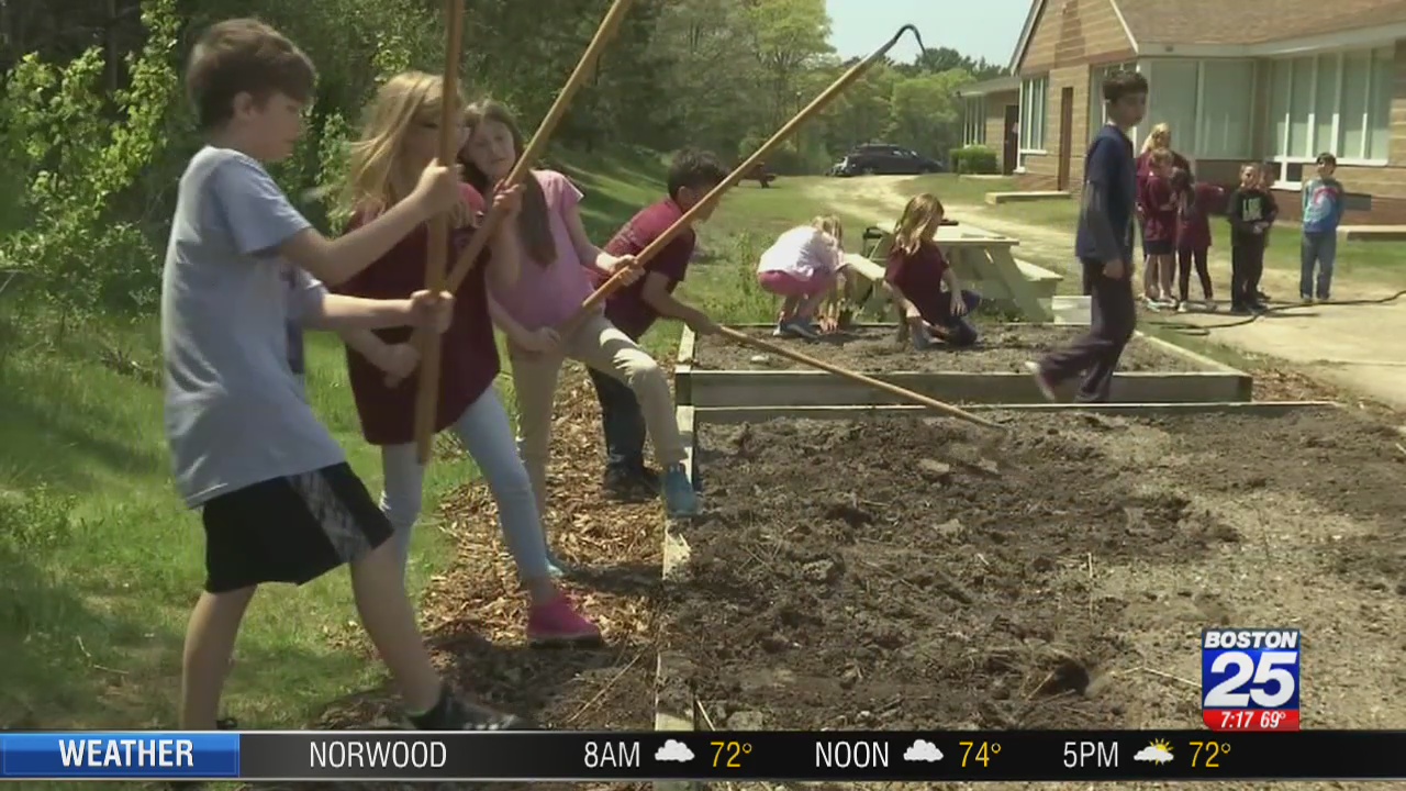 Native American Farming Techniques