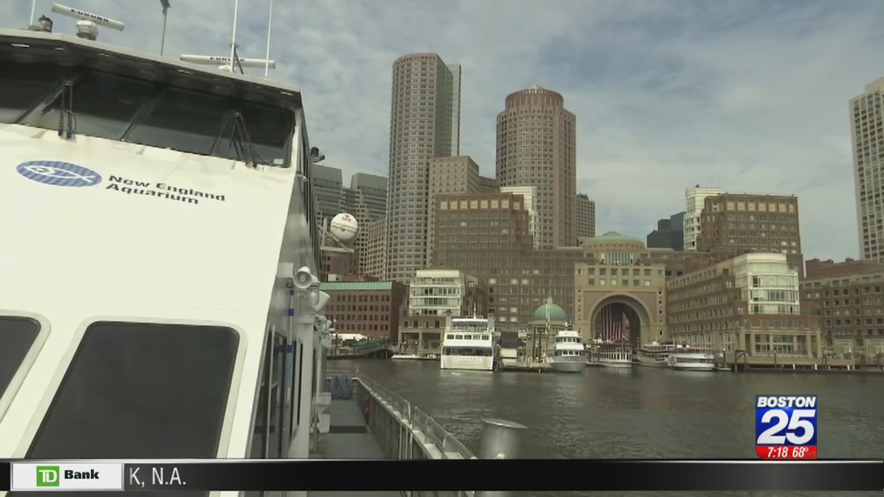A new push to expand ferry service in Boston Harbor
