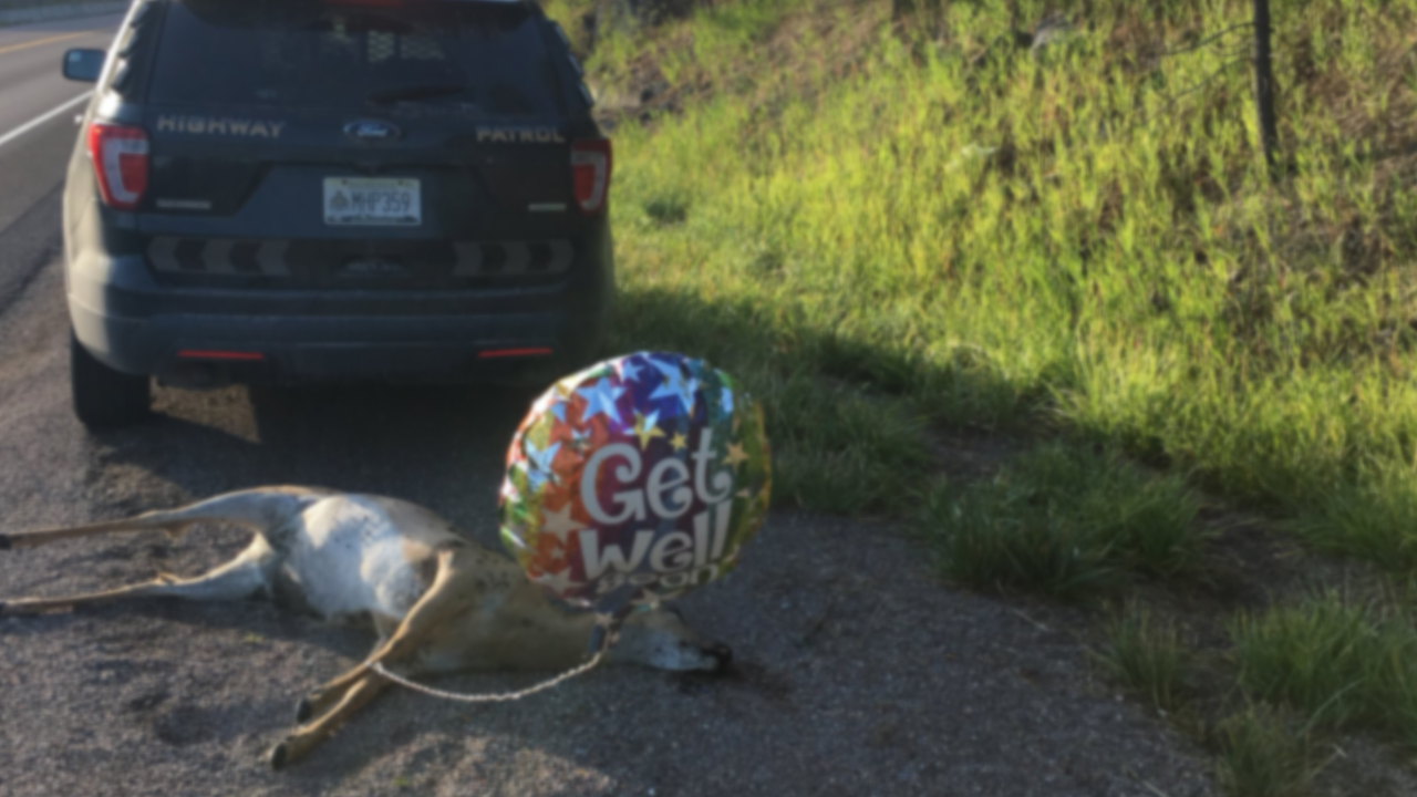 Montana trooper finds roadkill deer with attached 'get well soon ...