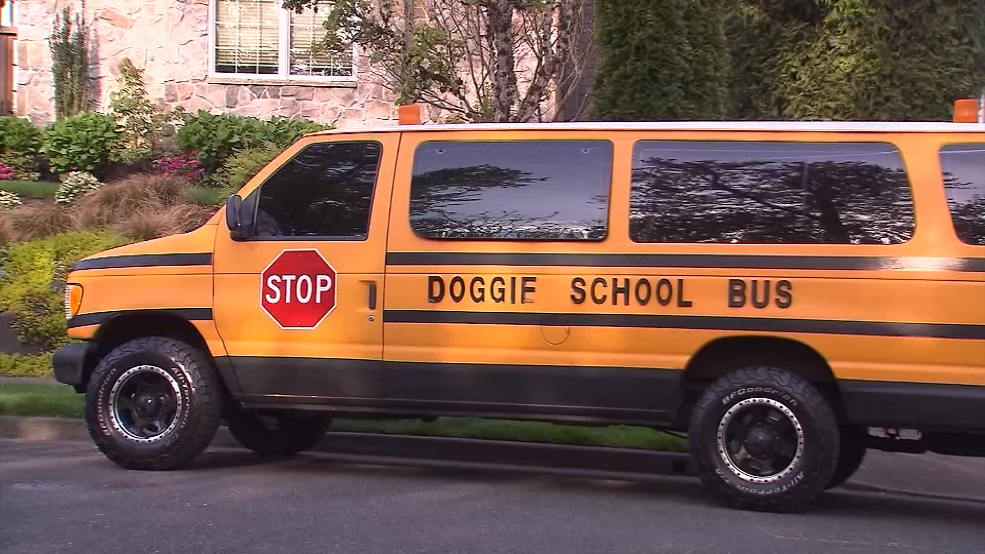 Doggie School Bus service gives pups time for exercise, fun