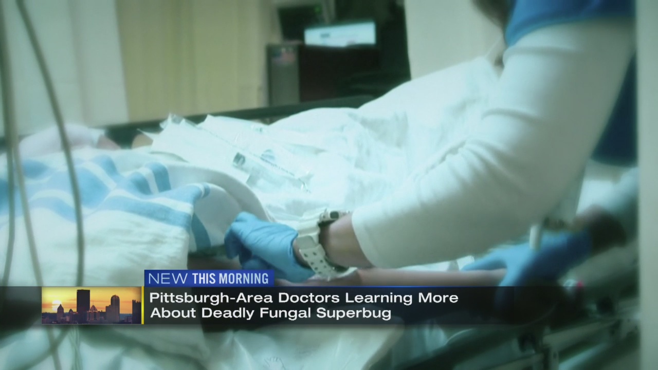 Doctors: Likely only matter of time before deadly superbug fungus ...