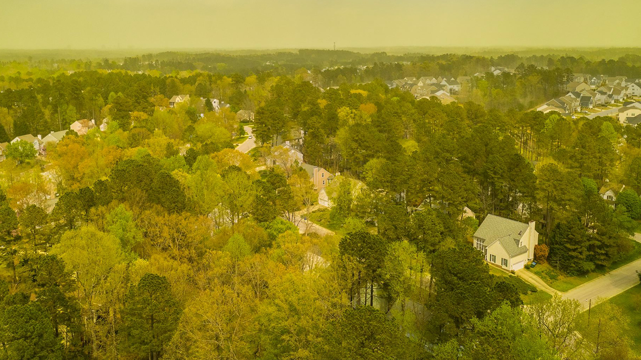 'Pollmageddon'? Pollen haze in North Carolina captured in sneeze-worthy ...