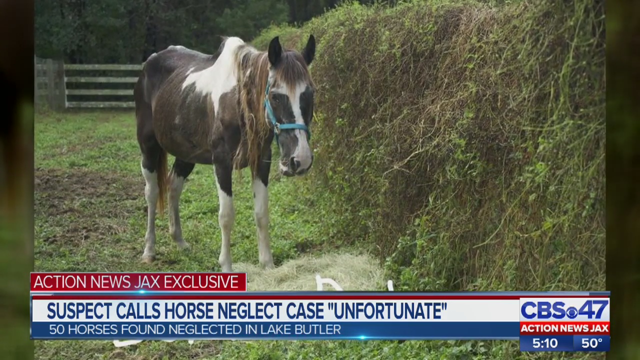 3 people arrested on suspicion of animal cruelty following a monthslong ...