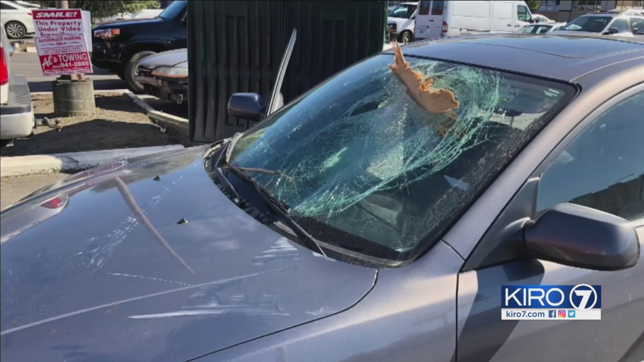 Driver narrowly escapes injury as large board crashes through windshield