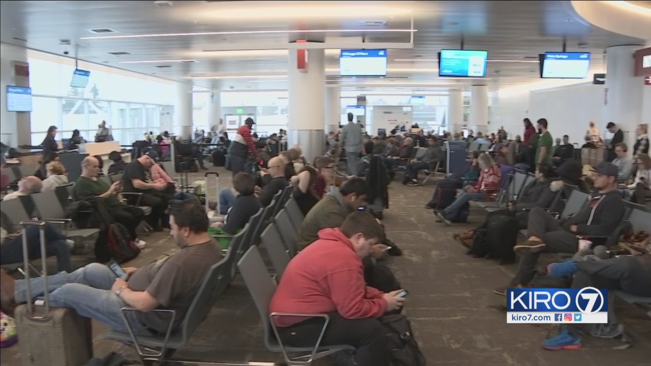 Five new gates open at Sea-Tac Airport