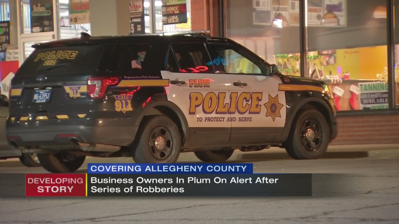 Police investigating series of robberies at Plum businesses – WPXI