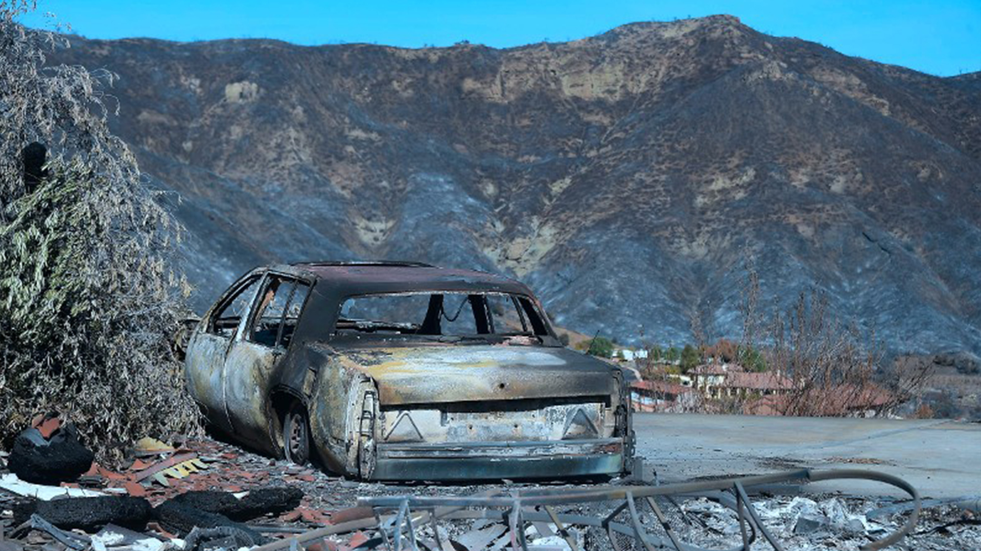 Malibu wildfires destroy Norman Timbs Special, 30 other rare cars ...