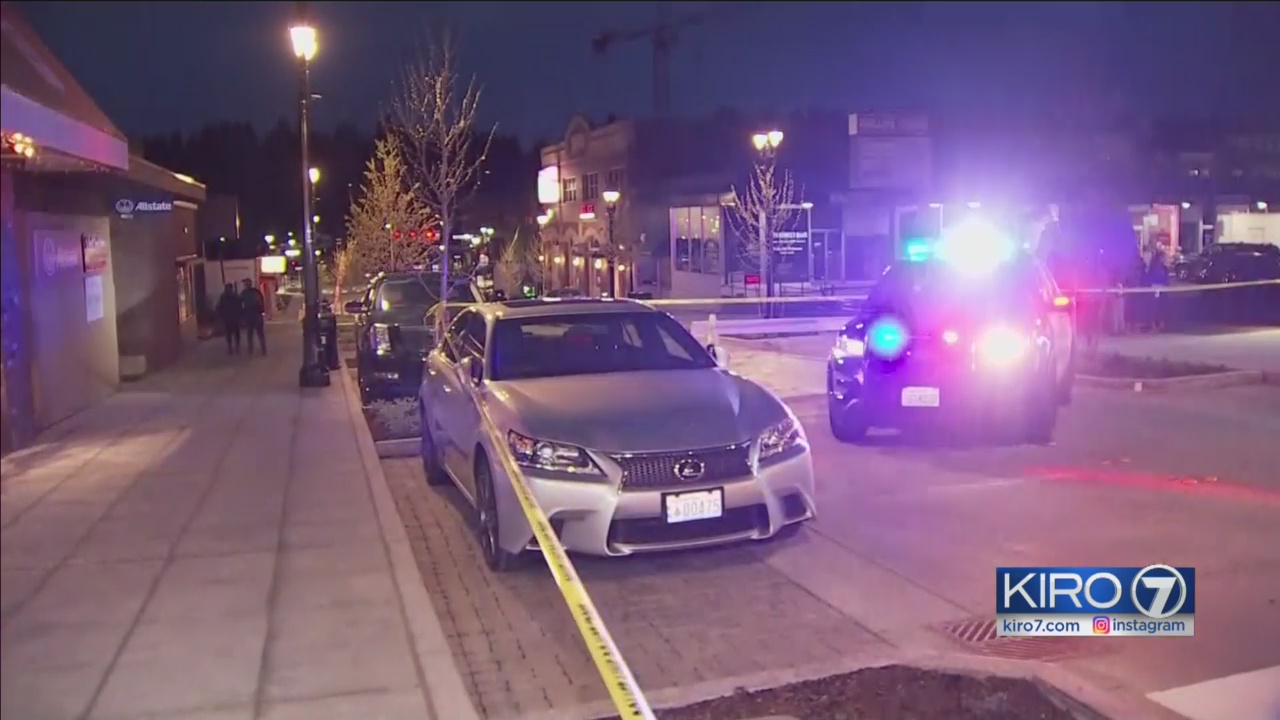 Police: Driver in custody after 2 pedestrians hit in Bothell – KIRO 7 ...
