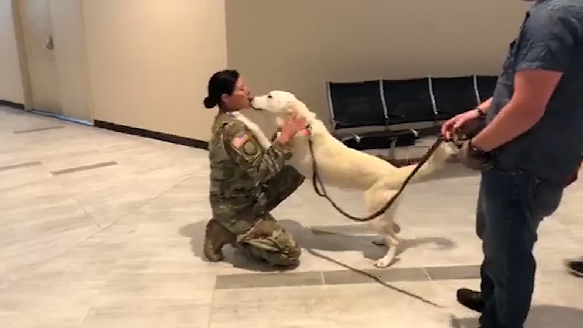 Soldier reunited with dog she rescued during Iraq tour – WPXI