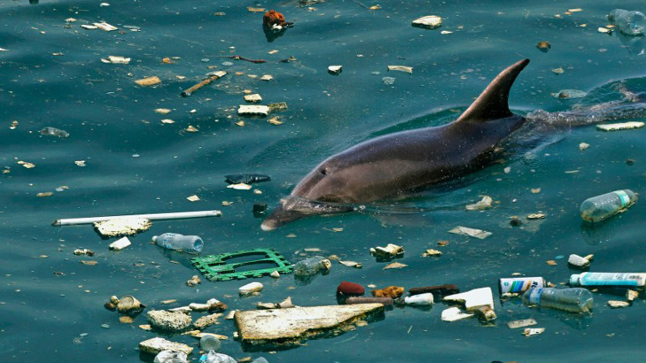 Great Pacific Garbage Patch 16 times larger than estimates: 87,000 tons ...