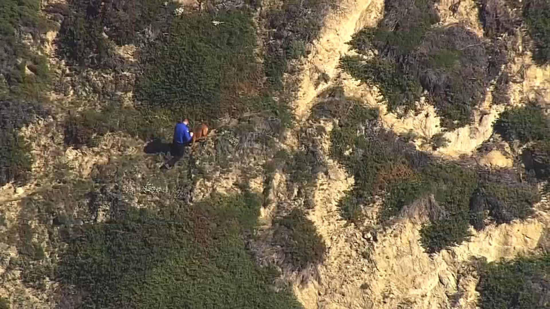 Man falls off cliff, dies while attempting to save his dog – WPXI