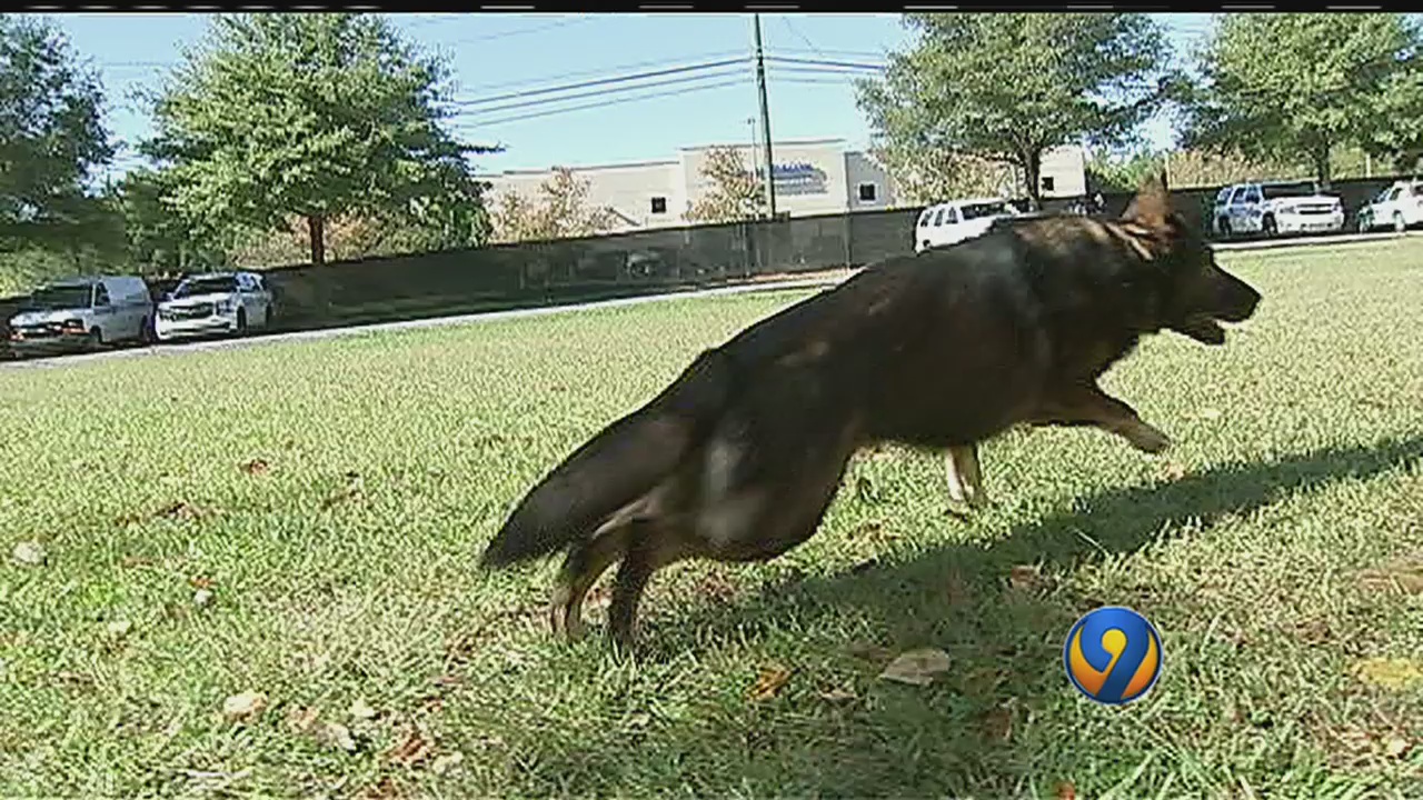 CMPD introduces new K-9 units as 2 dogs retire – WSOC TV