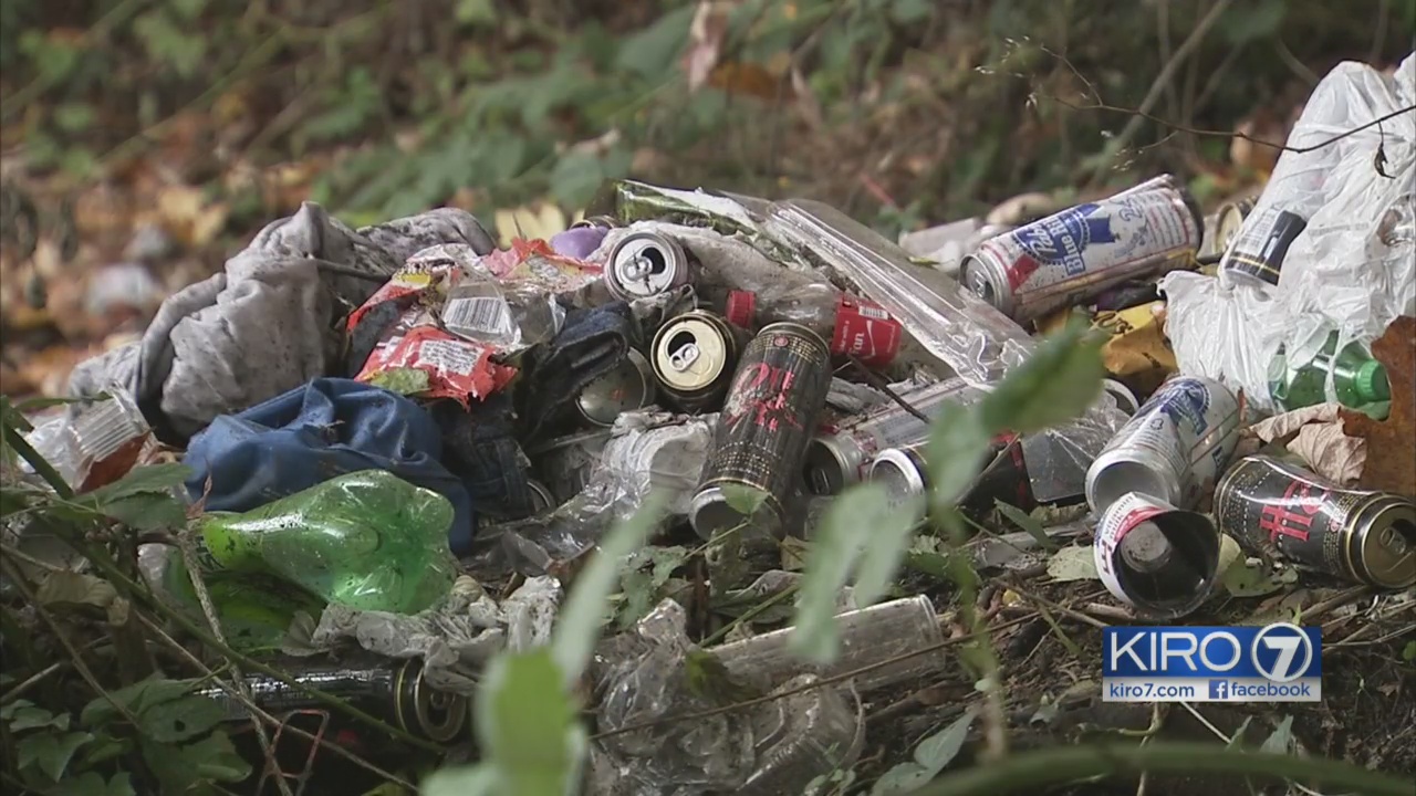 Seattle firefighters union says sweeps of homeless camps should ...