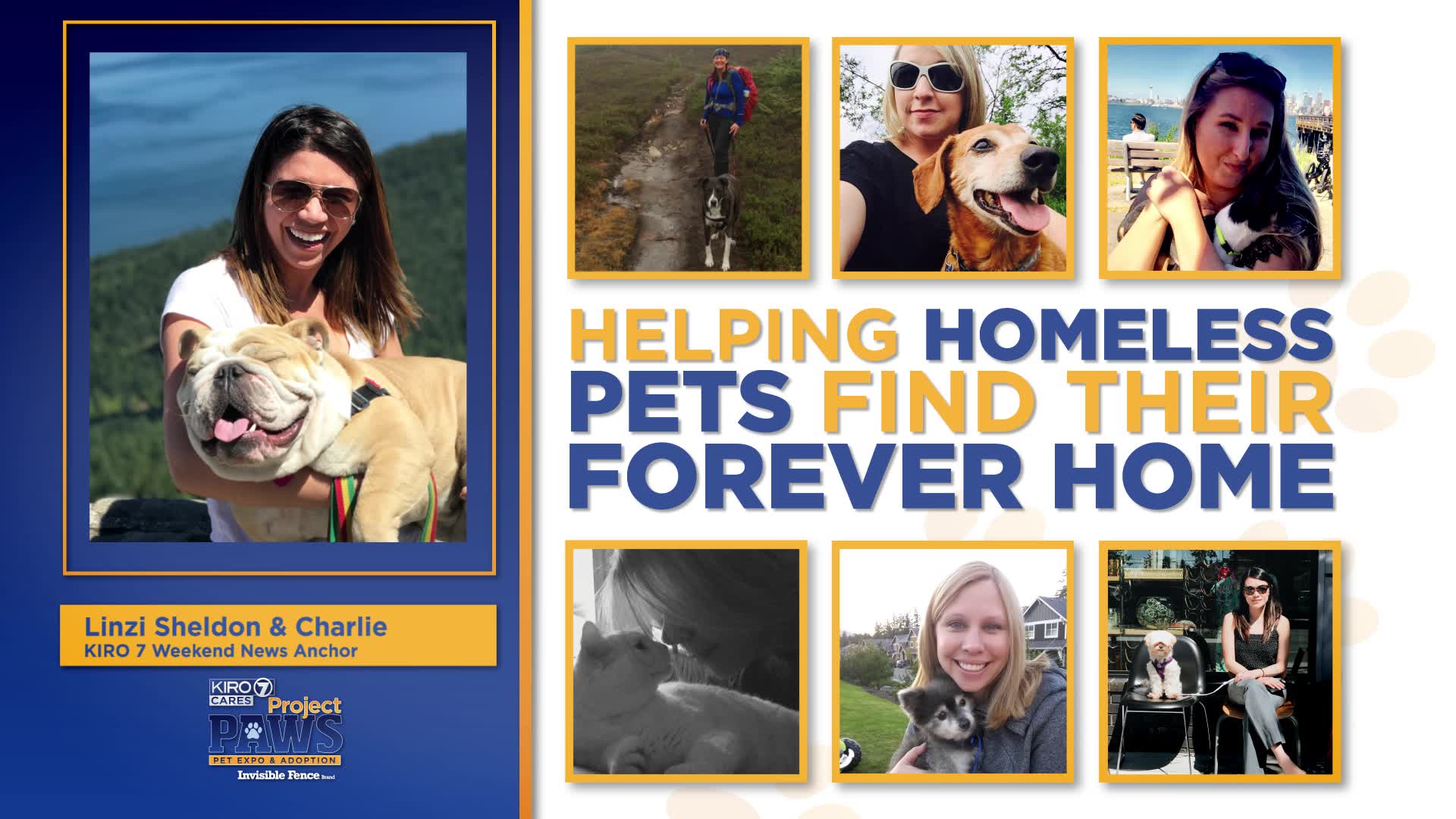 Project Paws: Pet Expo and Adoption – KIRO 7 News Seattle