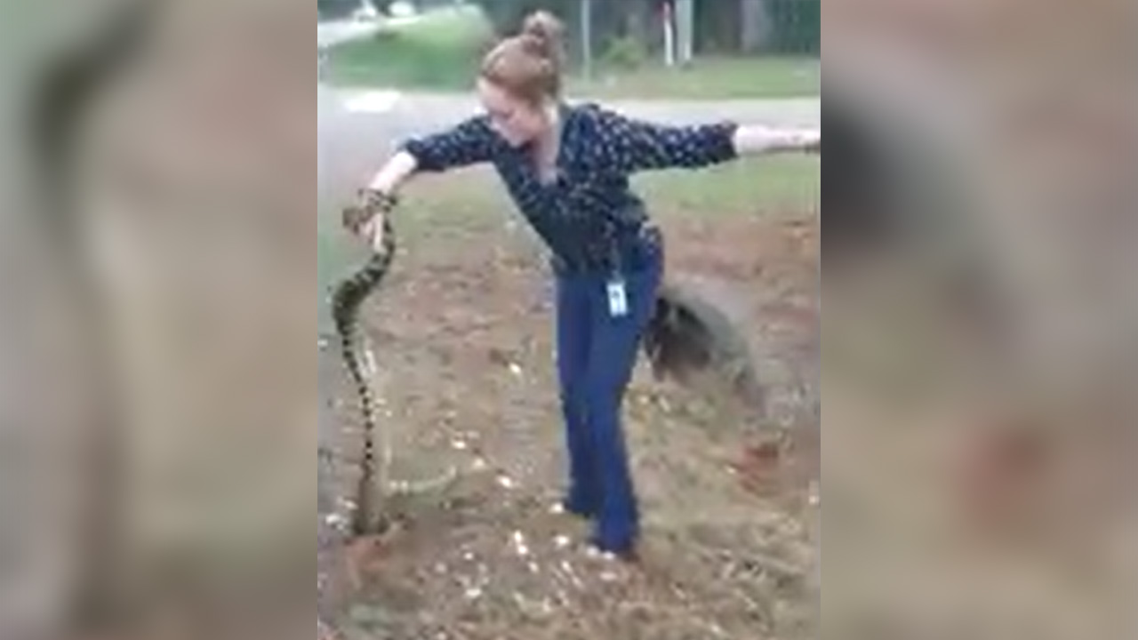 WATCH: Florida detective captures 9-foot snake