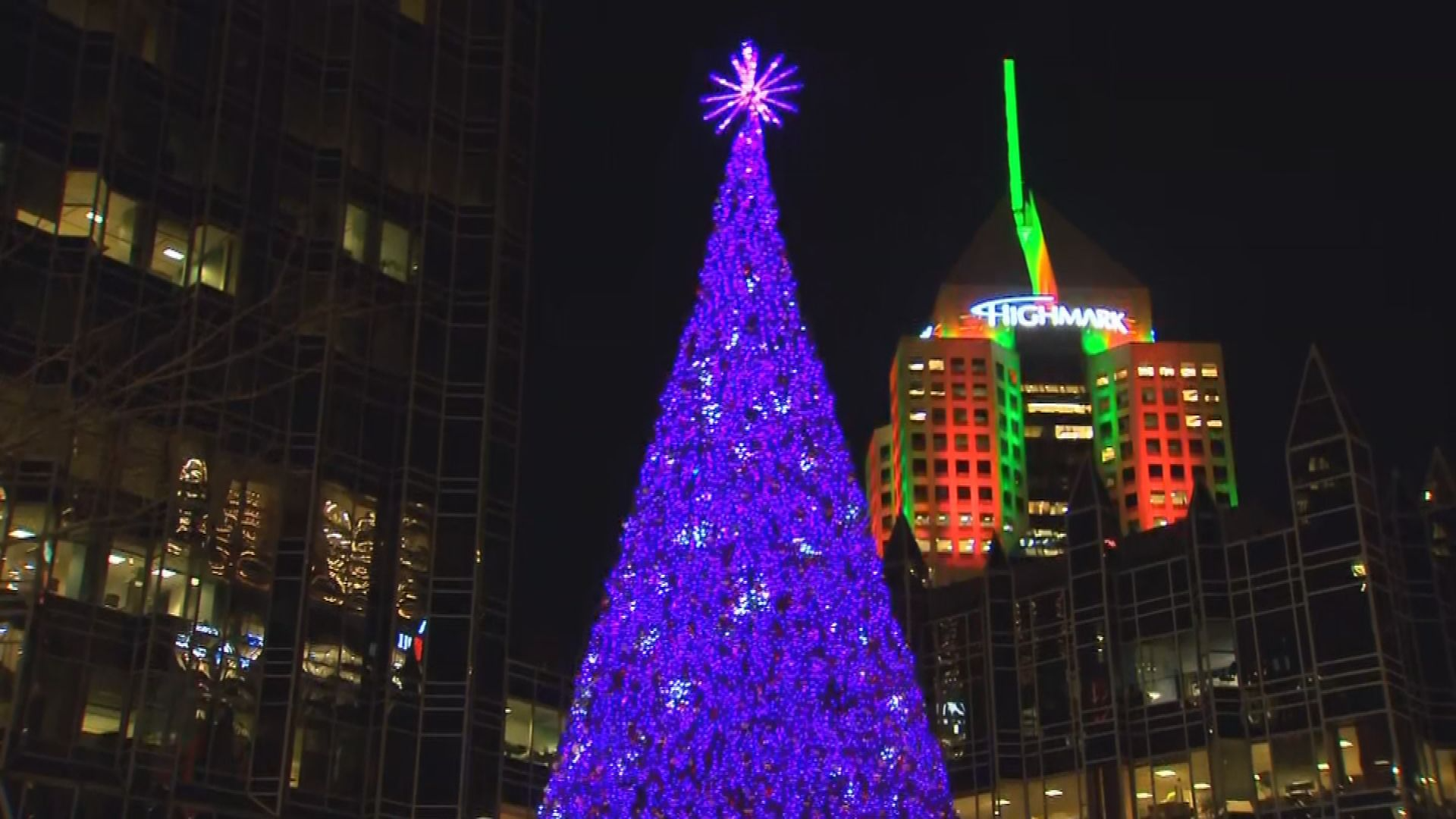 Pittsburgh Light Up Tree