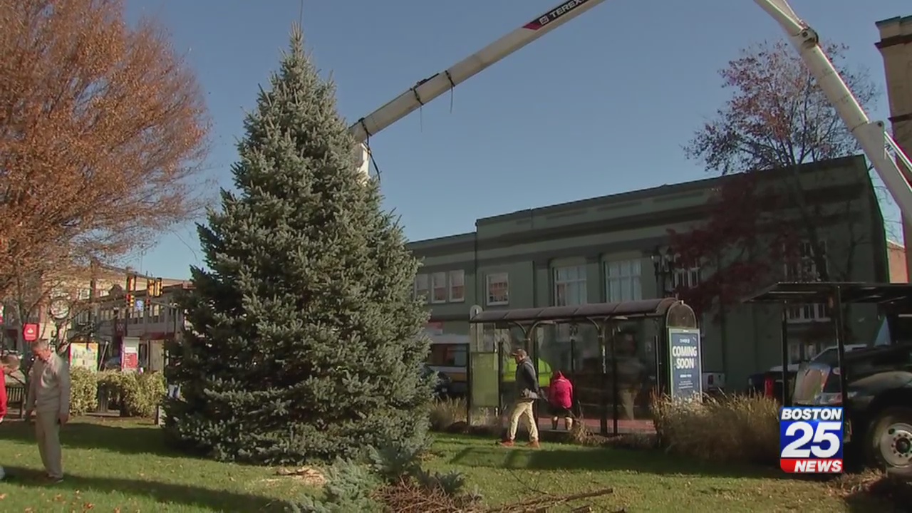 Family donates giant tree to City of Everett in honor of late officer ...