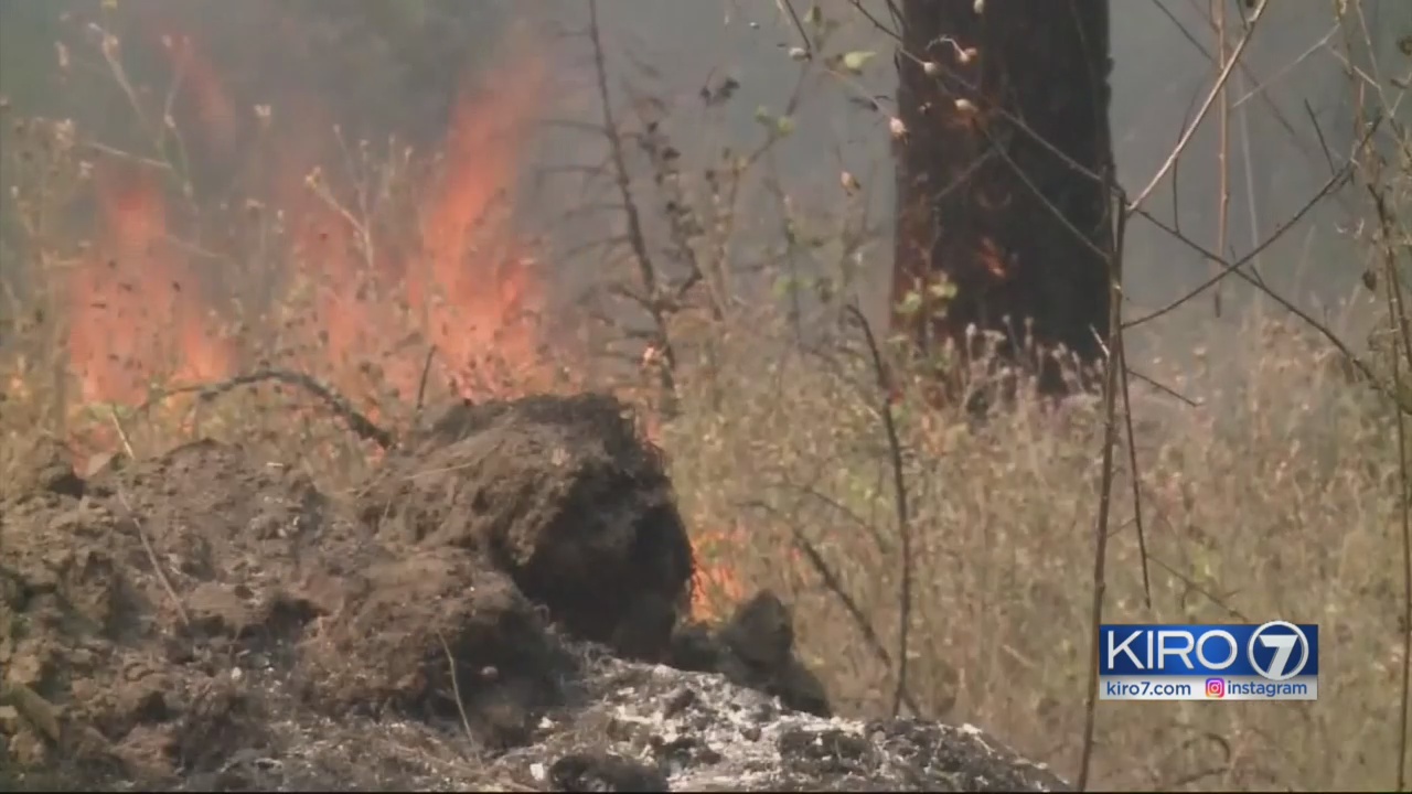 Understaffed Snohomish County fire districts send resources to Eastern ...