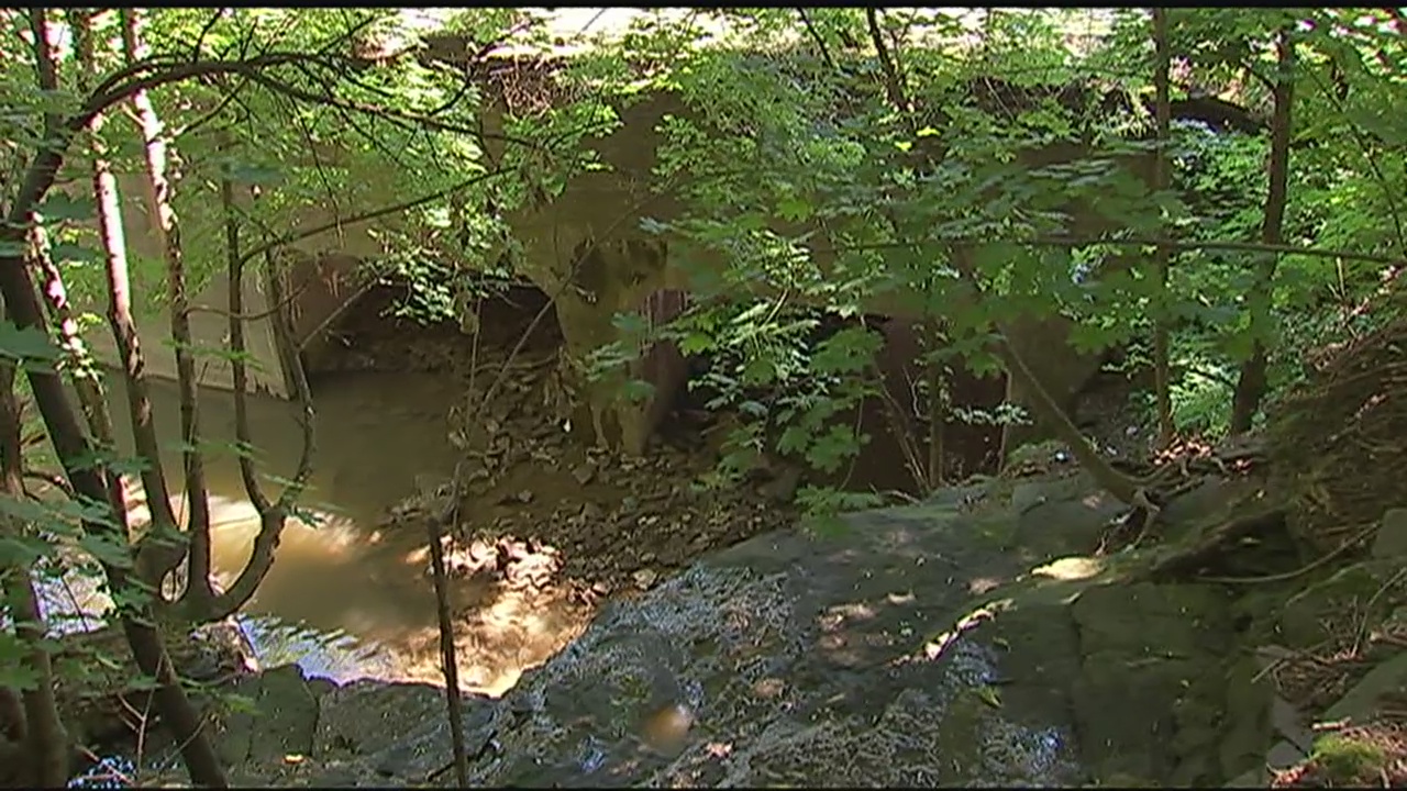 Woman rescued, flown to hospital after falling 25 feet along Beaver River