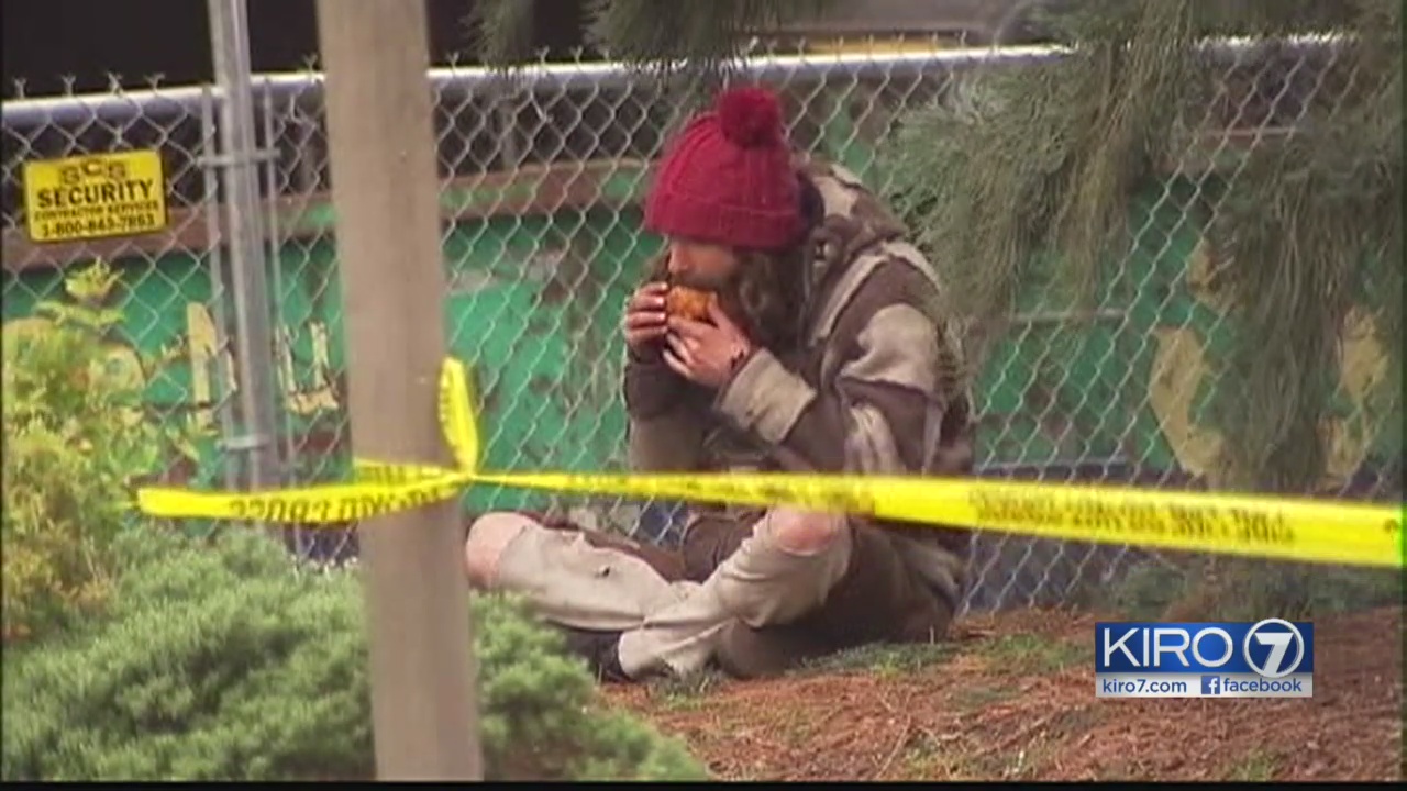 Man comes down from tall tree after 24 hours – KIRO 7 News Seattle