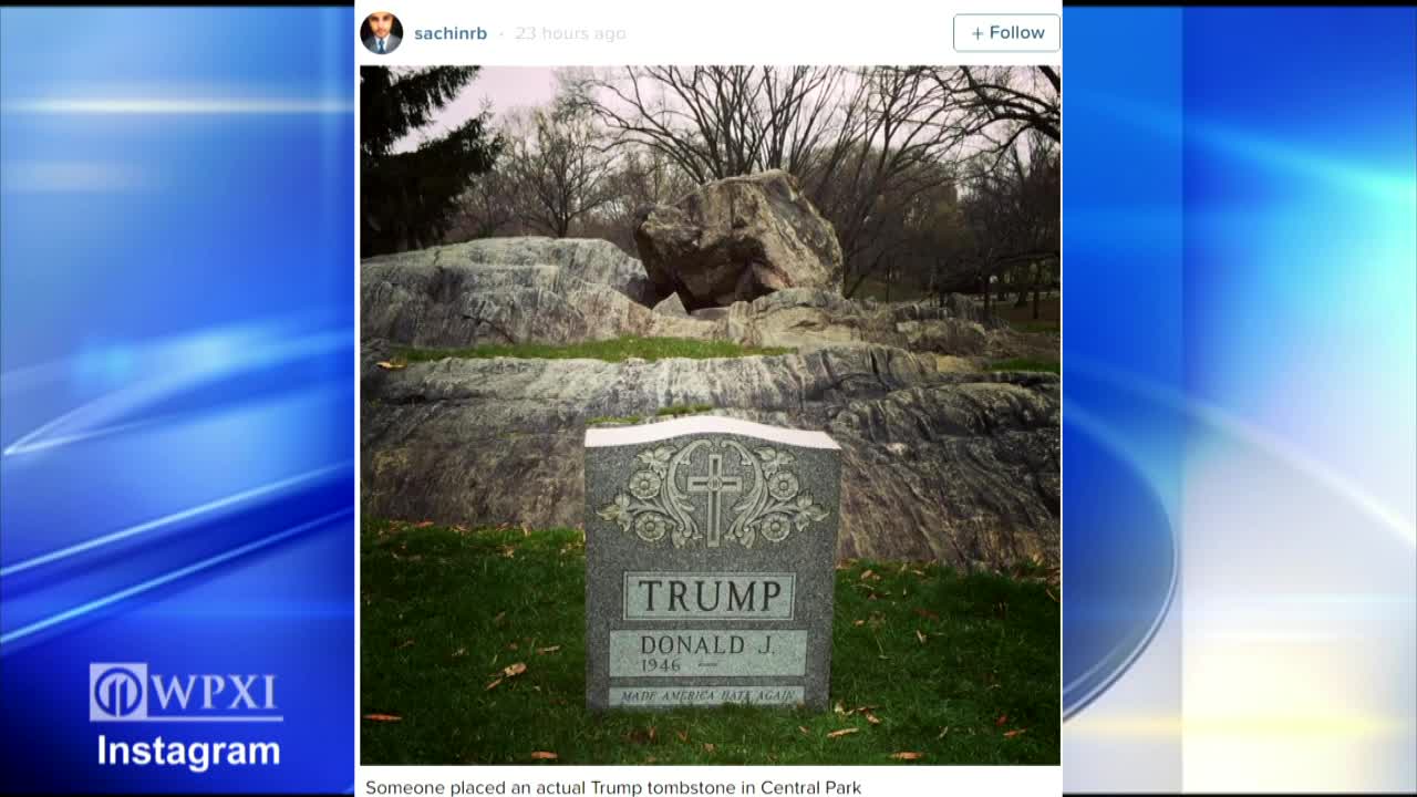 Donald Trump tombstone appears in New York's Central Park