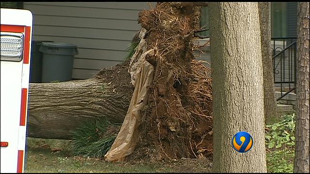 Officials ID postal worker killed after tree falls on mail truck – WSOC TV